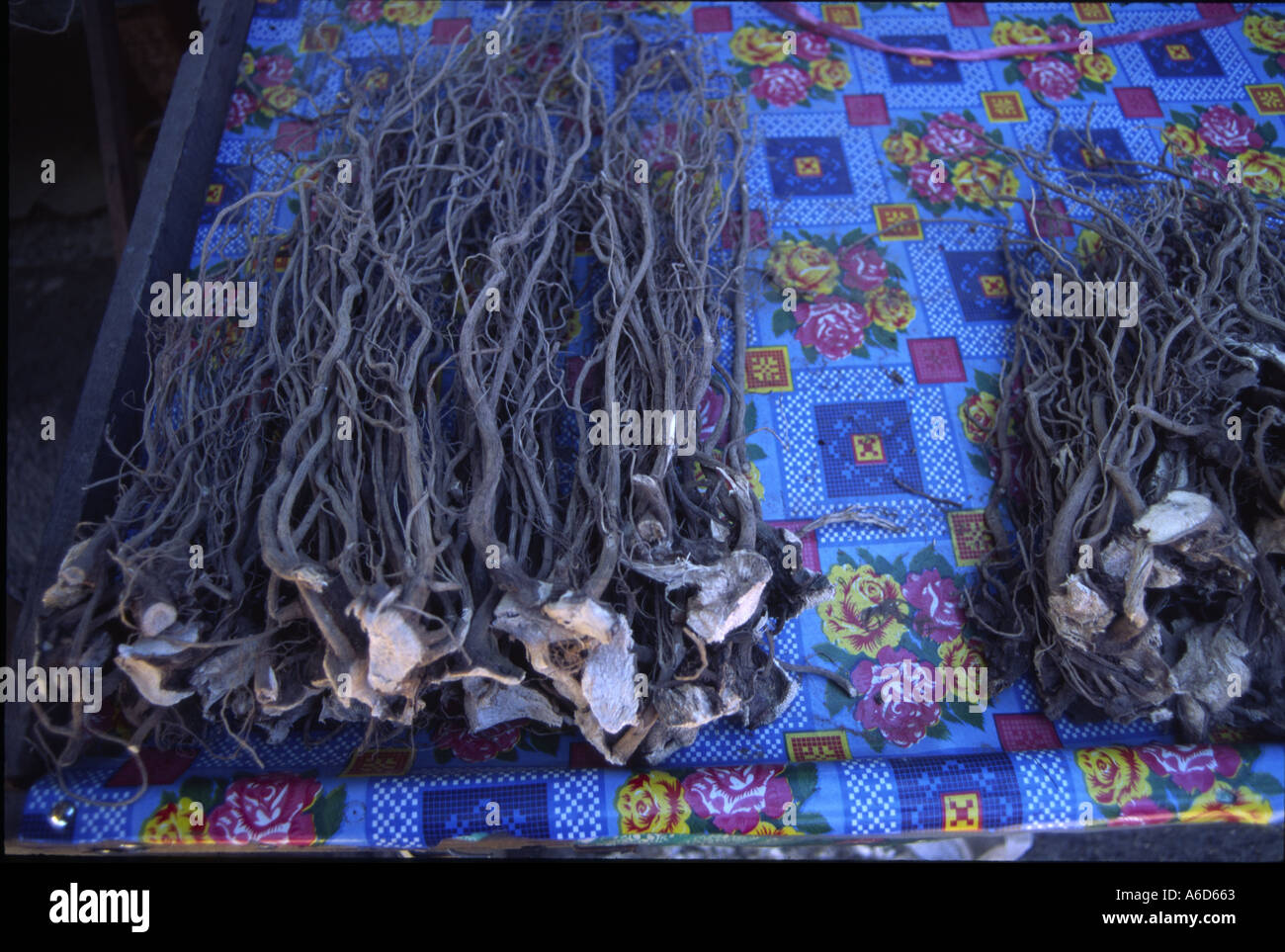 Kava root market Nadi Fiji Stock Photo - Alamy