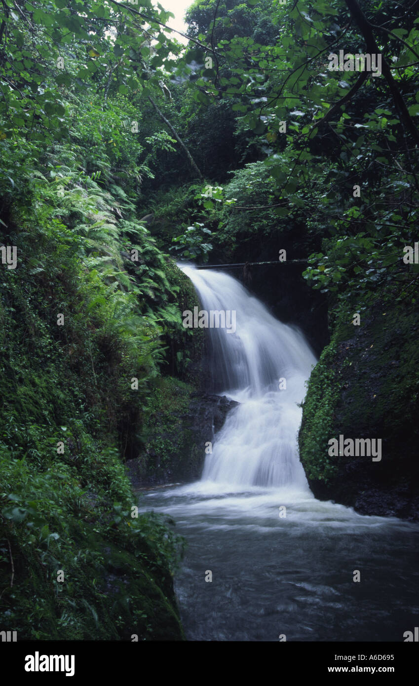 Wigmore s waterfall Rarotonga Cook Islands Stock Photo - Alamy