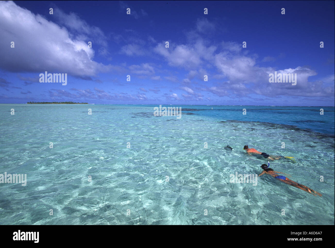 Cook islands diving hi-res stock photography and images - Alamy