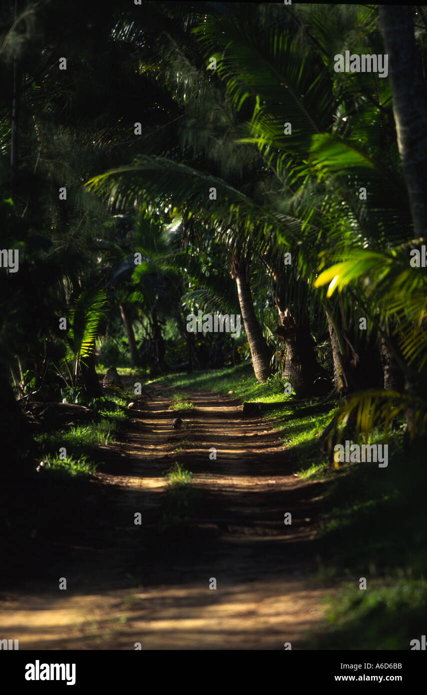 Road Aitutaki Cook Islands Stock Photo - Alamy