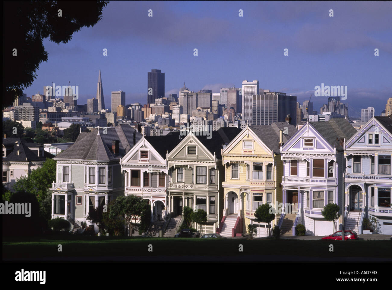 Steiner Street San Francisco California USA Stock Photo - Alamy