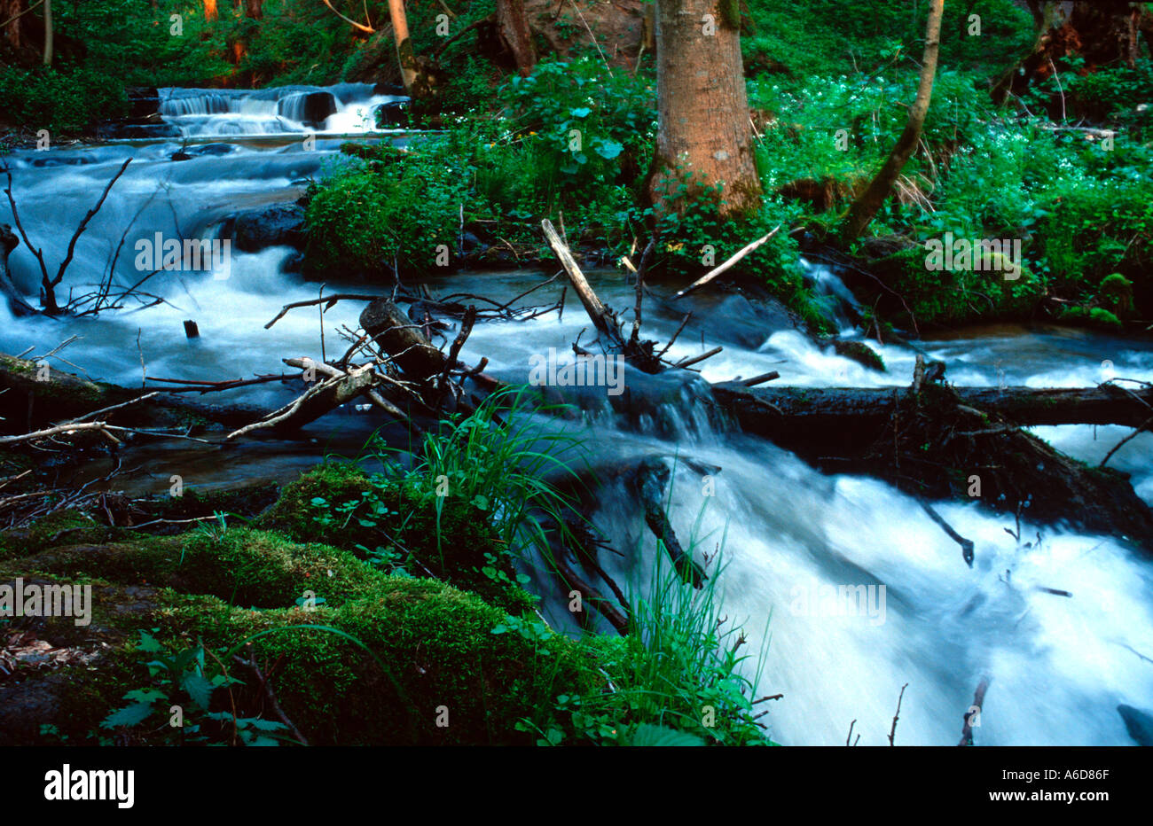 Czartowe pole reserve hi-res stock photography and images - Alamy