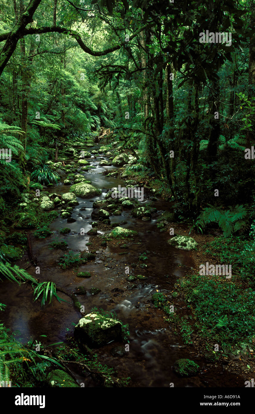 Border ranges world heritage hi-res stock photography and images - Alamy