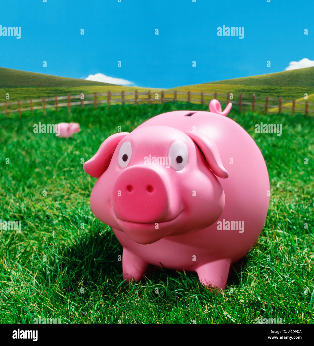 Pig cartoon hi-res stock photography and images - Alamy