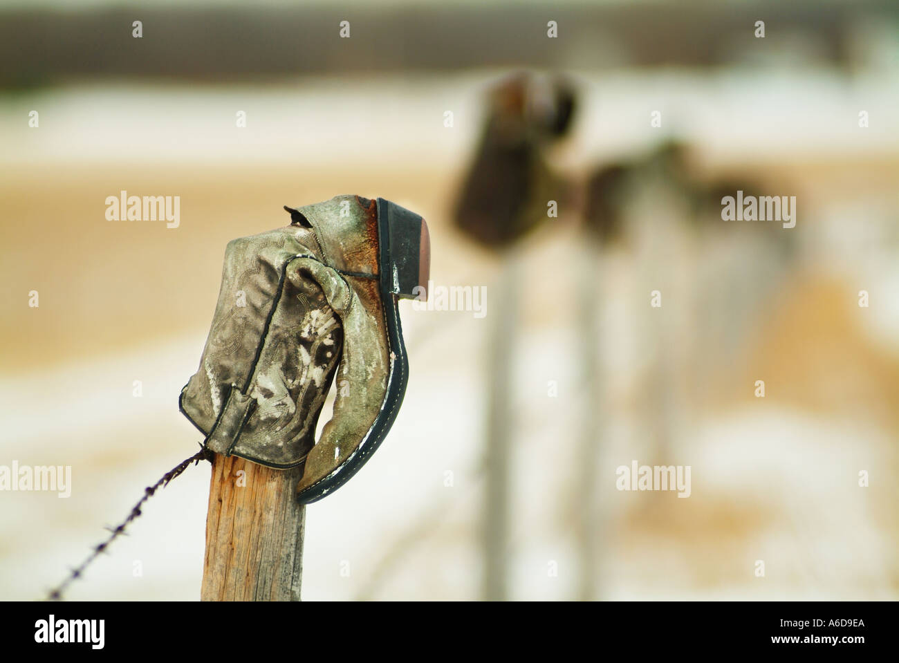 Cowboy boots on a fence Stock Photo - Alamy