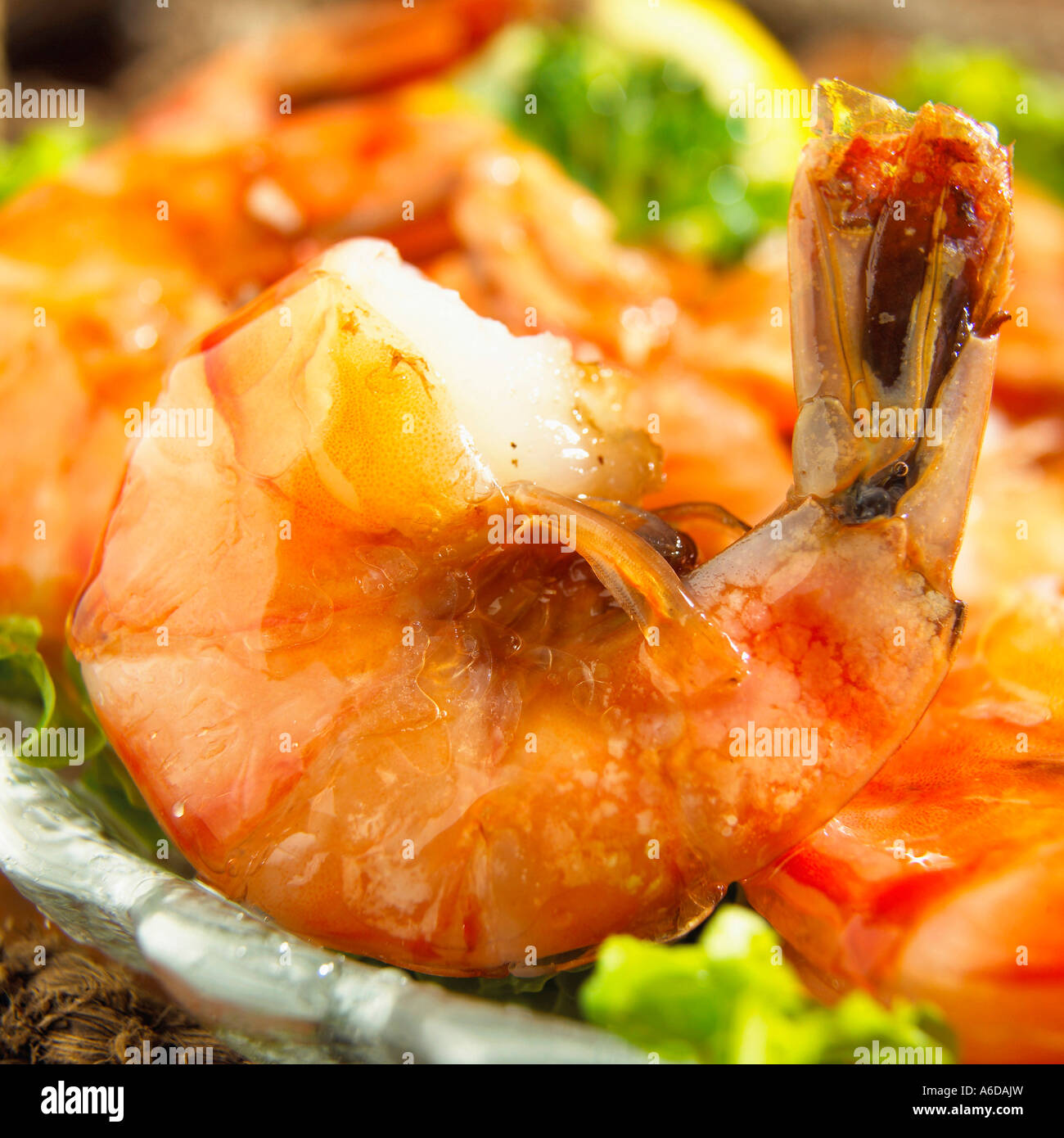 Close-up of cooked black tiger shrimp in a bowl Stock Photo - Alamy