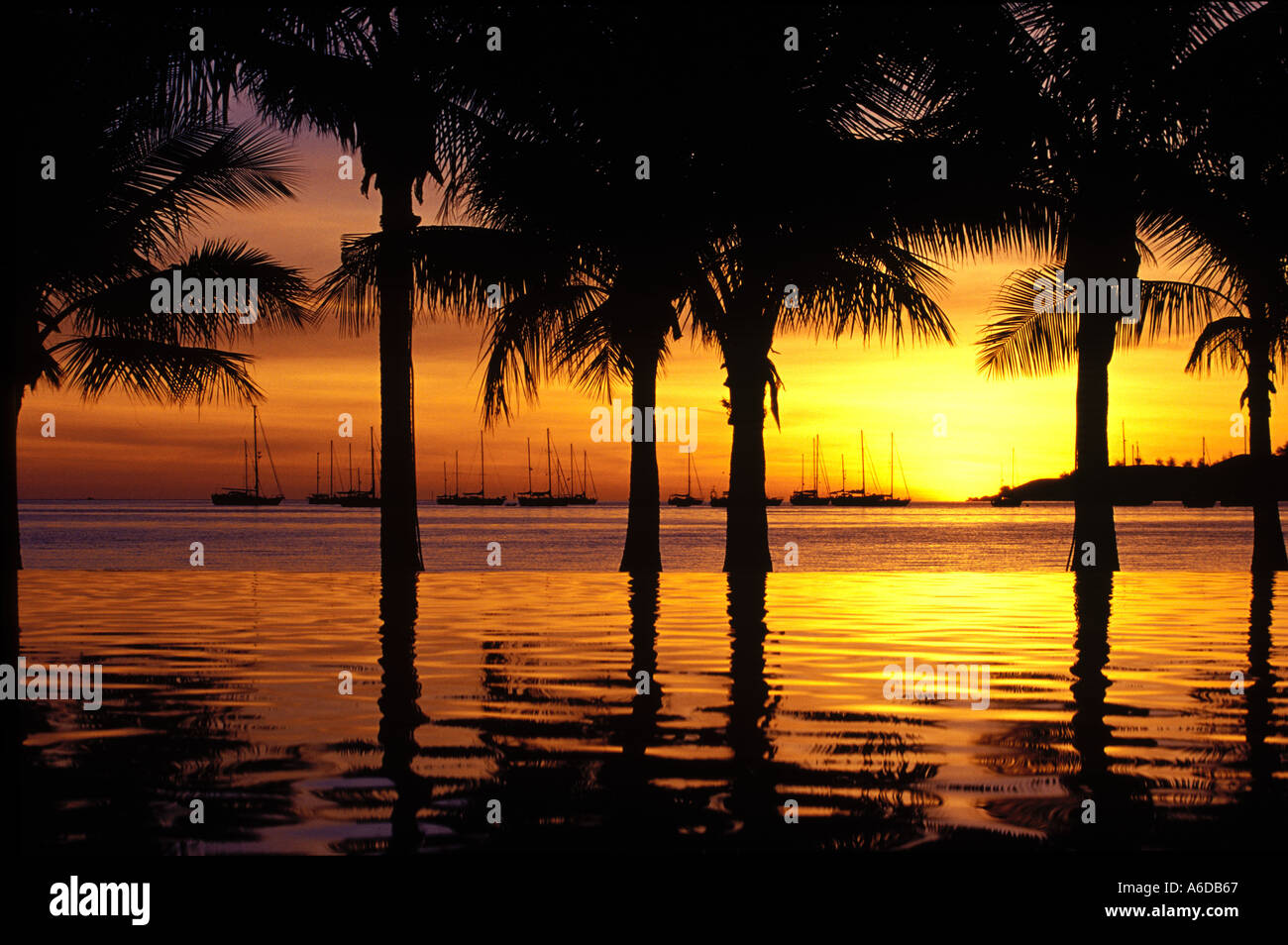 Sunset over pool and yachts Musket Cove Fiji Stock Photo - Alamy