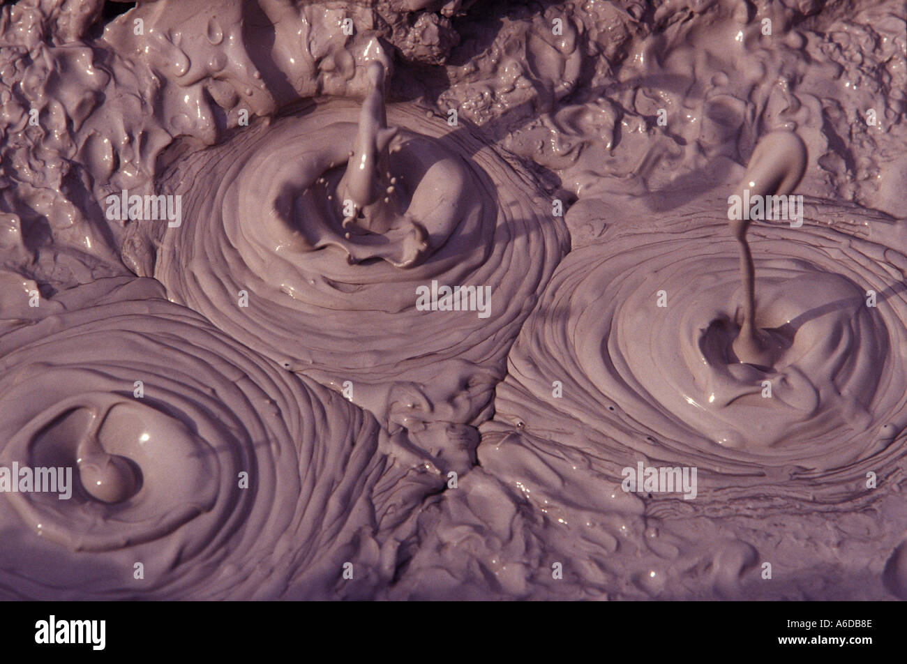 Bubbling thermal mud pools Stock Photo - Alamy