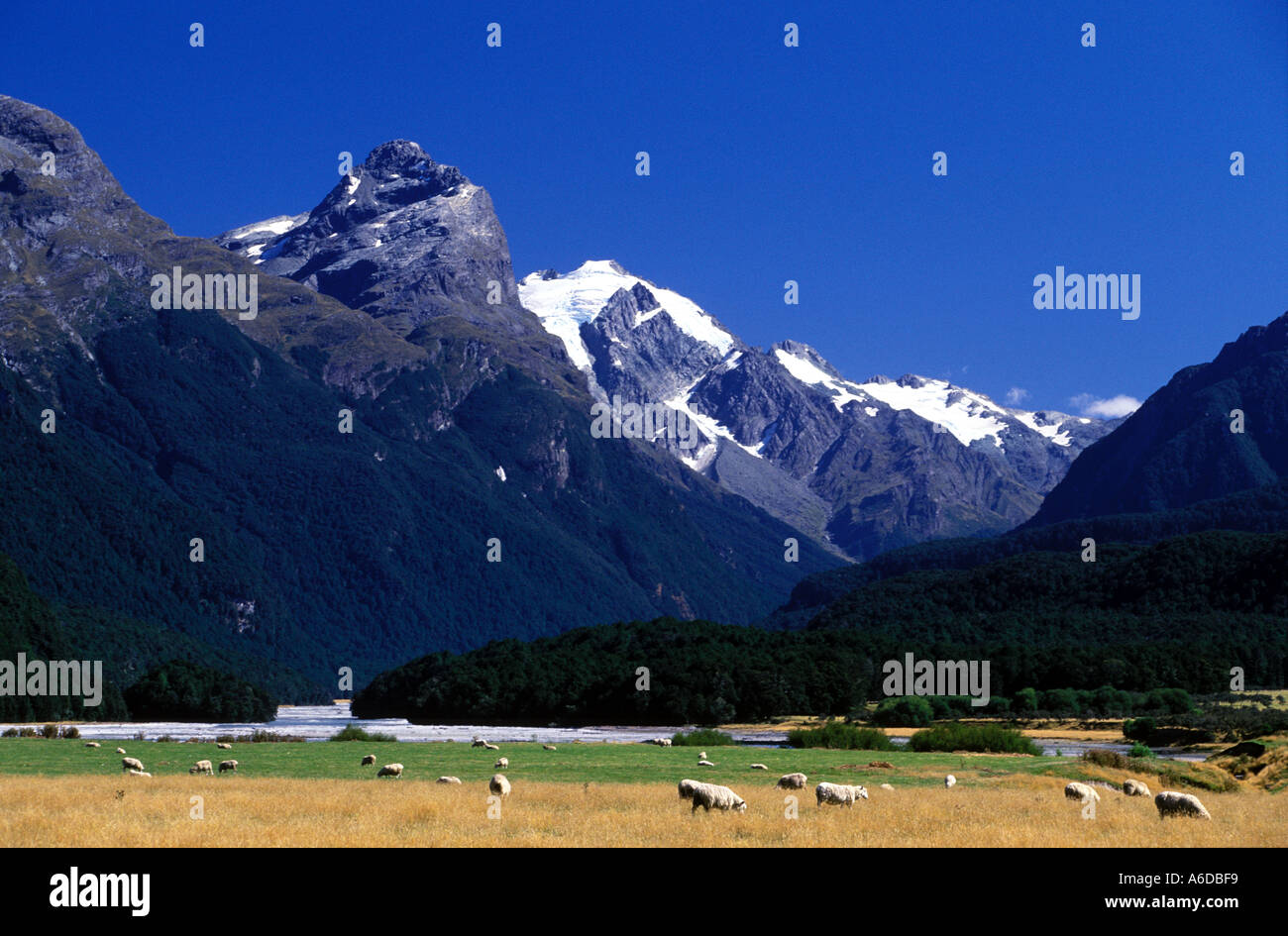 Alpine farm scene Glenorchy New Zealand Stock Photo - Alamy