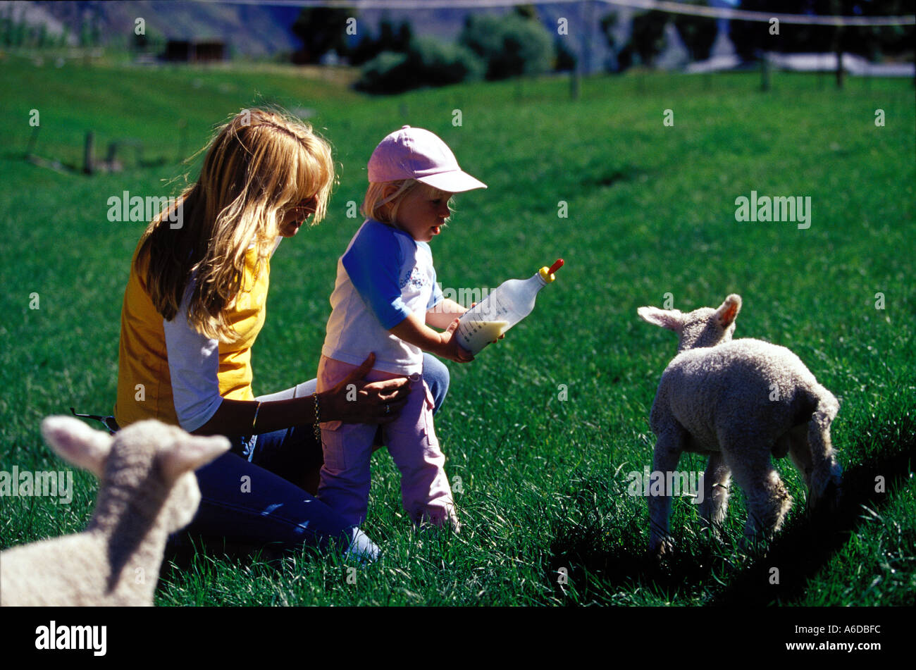 Lambs mother child hi-res stock photography and images - Alamy