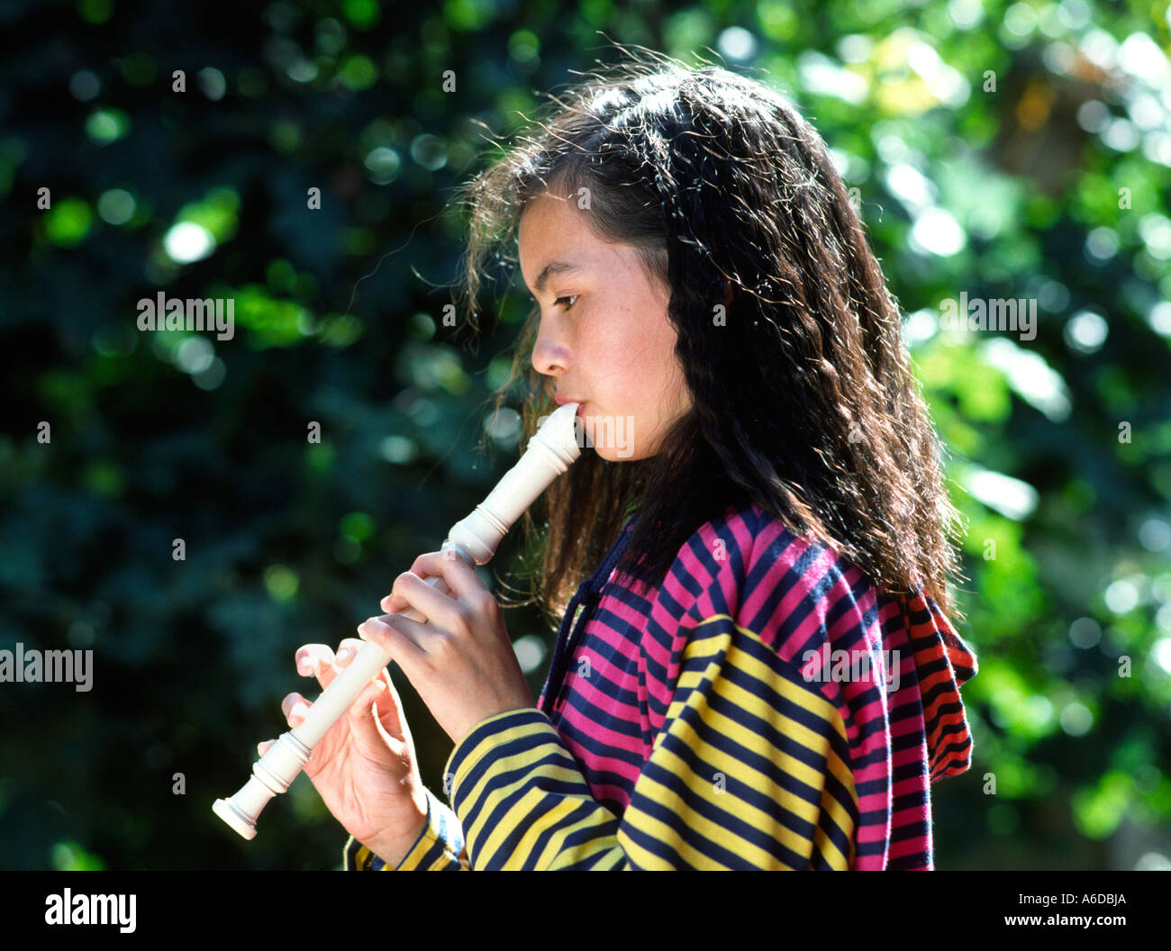 Recorder instrument hi-res stock photography and images - Alamy