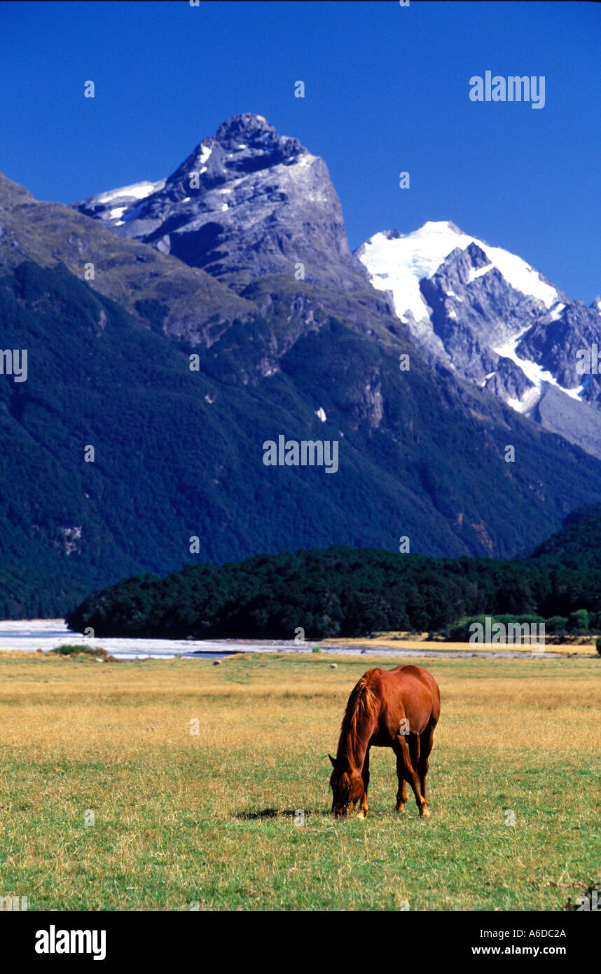 Alpine farm scene Glenorchy New Zealand Stock Photo - Alamy