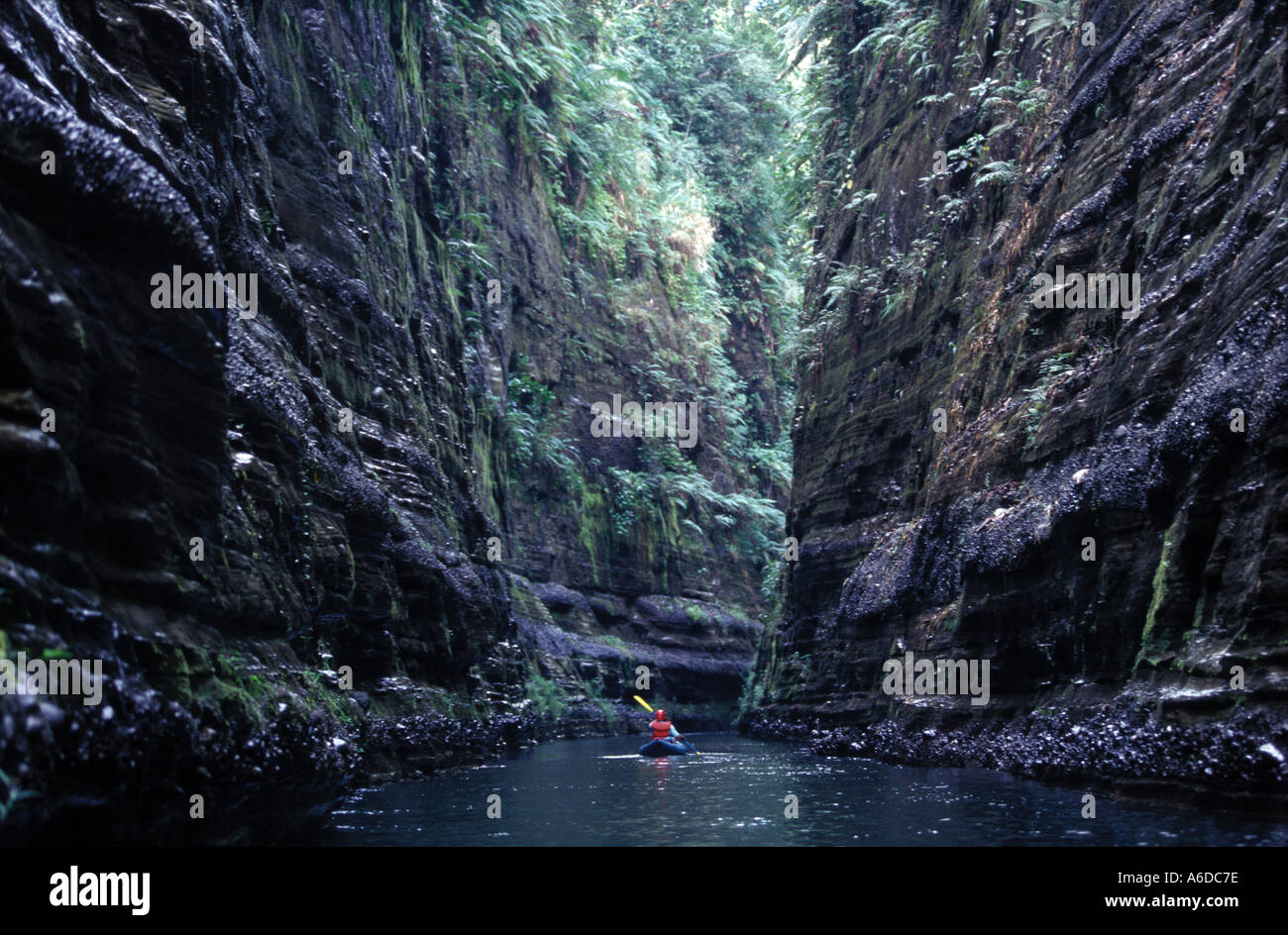 Kayaking in the Navua gorge Fiji Stock Photo - Alamy