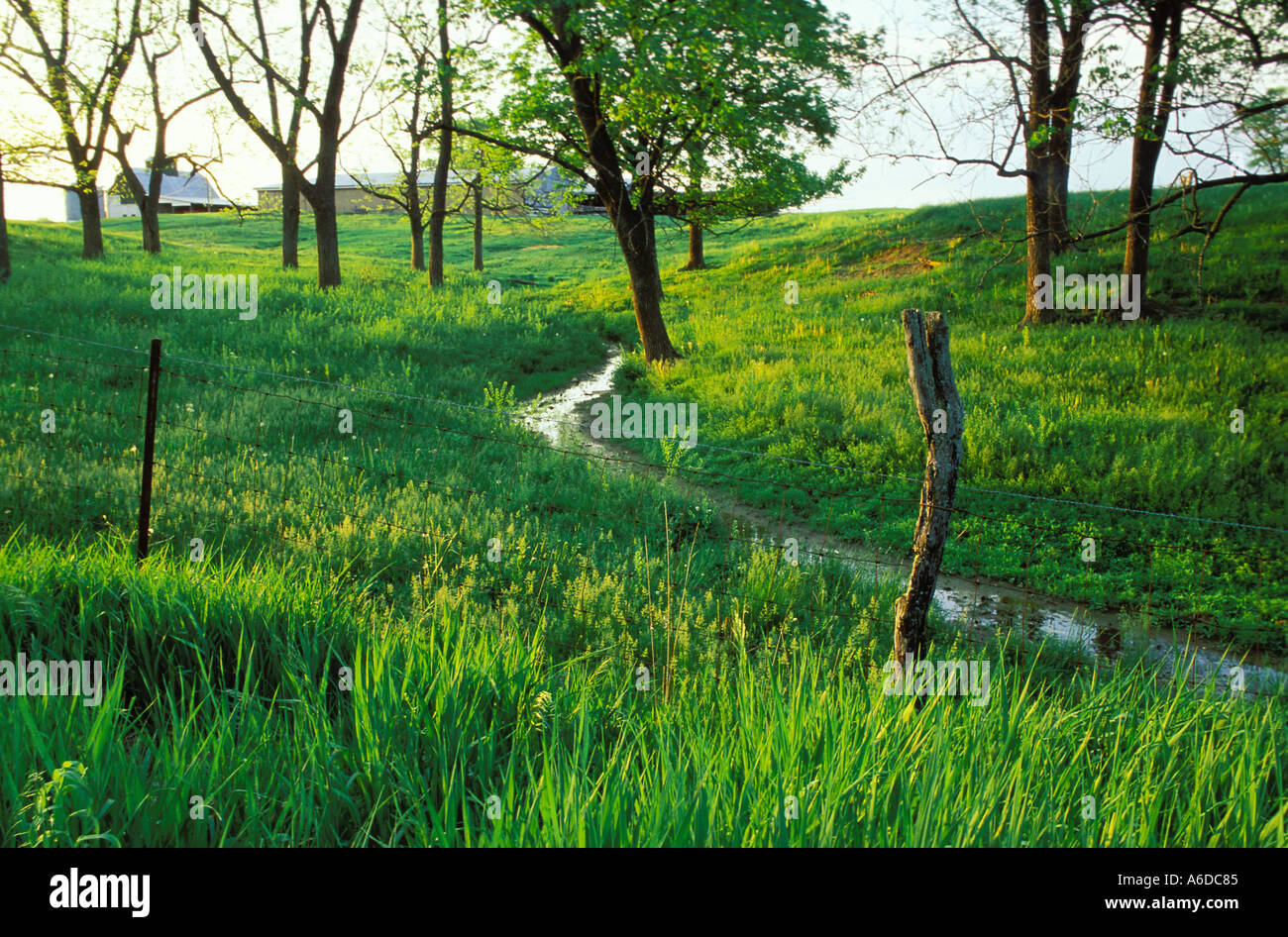 Farm in East Central Illinois Stock Photo - Alamy