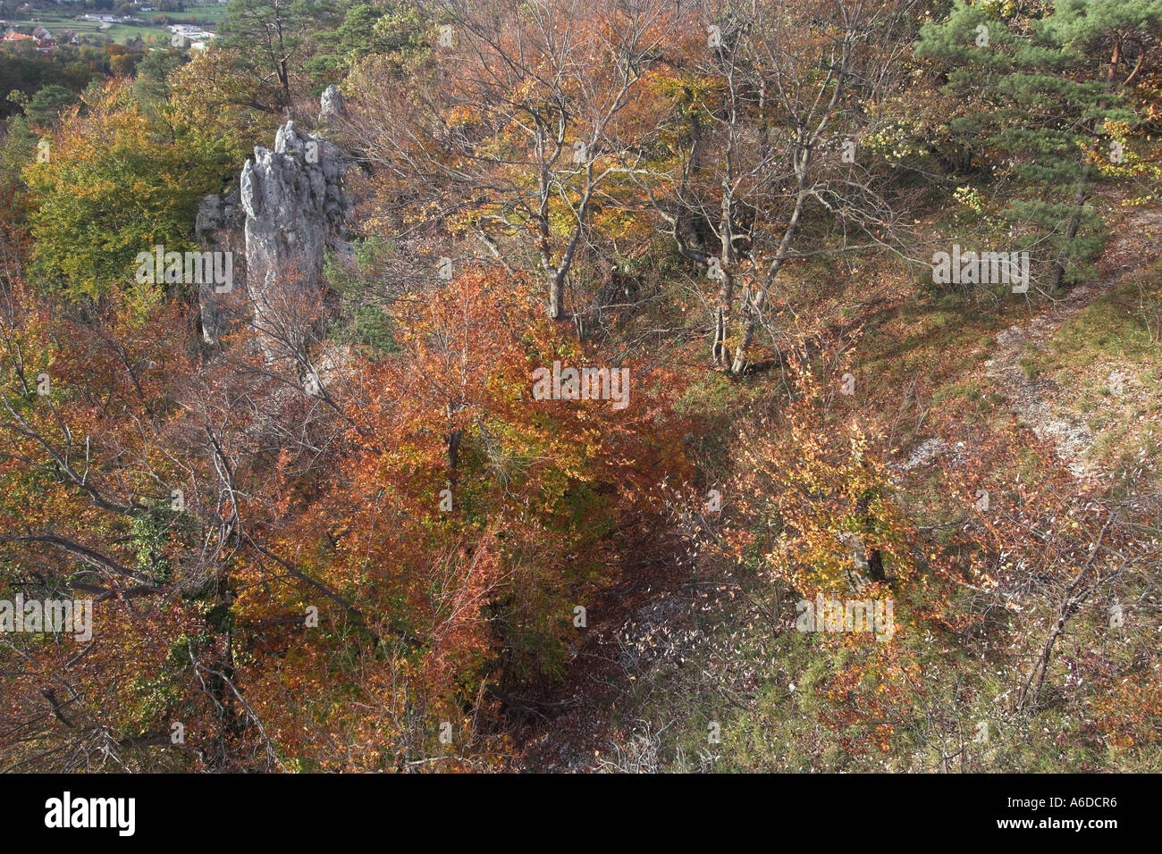 autumn in the countryside in alsace france Stock Photo - Alamy