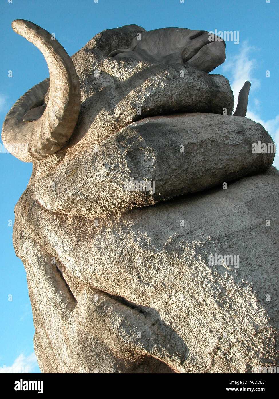 Big merino australia hi-res stock photography and images - Alamy