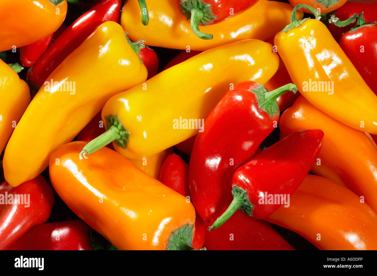 Close-up of yellow and red peppers Stock Photo - Alamy