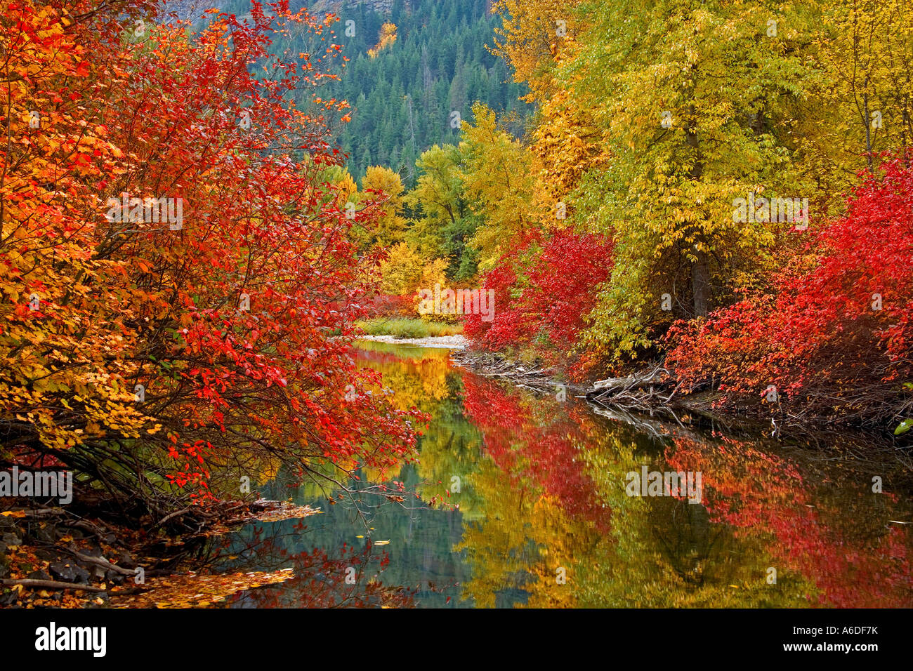 Stevens pass washington state hi-res stock photography and images - Alamy