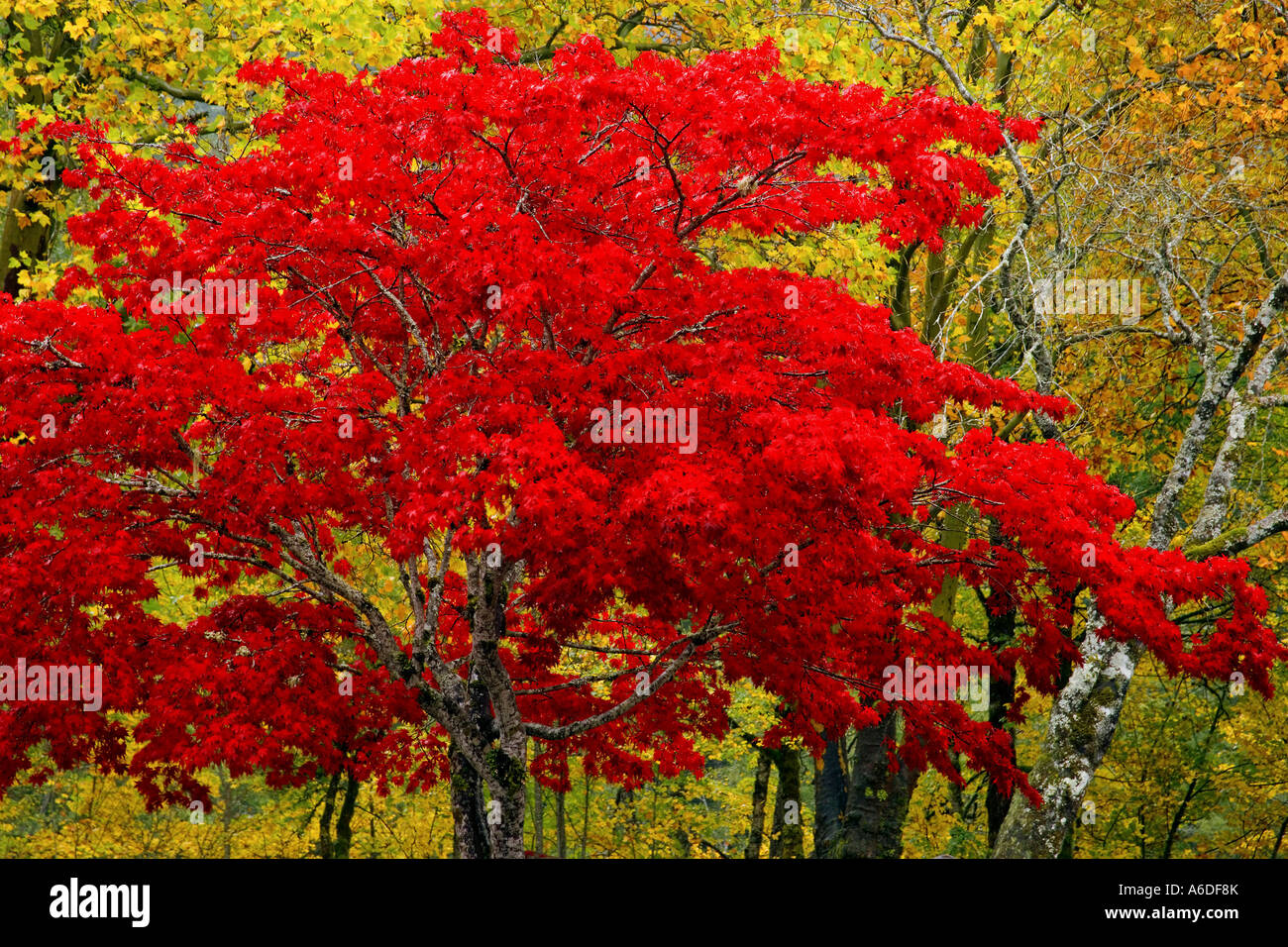 Newhalem hi-res stock photography and images - Alamy