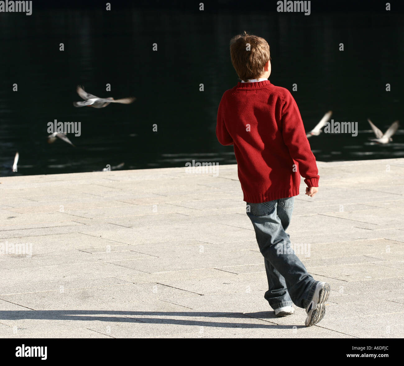 Child running after birds hi-res stock photography and images - Alamy