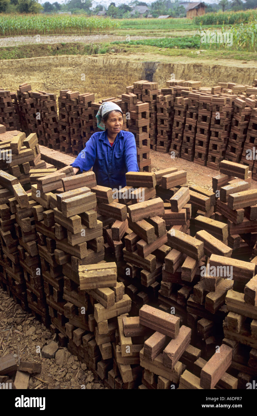 Brick making operations, Thai Nguyen province, Vietnam Stock Photo - Alamy