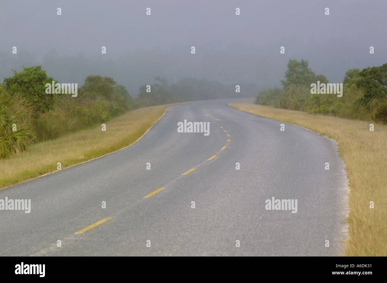 Route 27 into Everglades National Park Main park road streets roads ...
