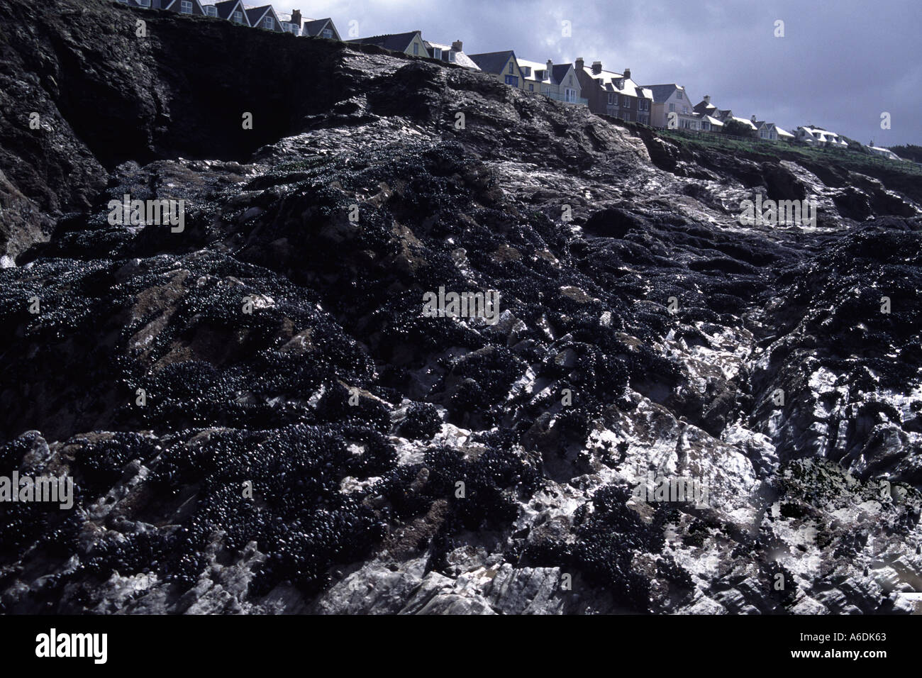 Polzeath cornwall hi-res stock photography and images - Alamy