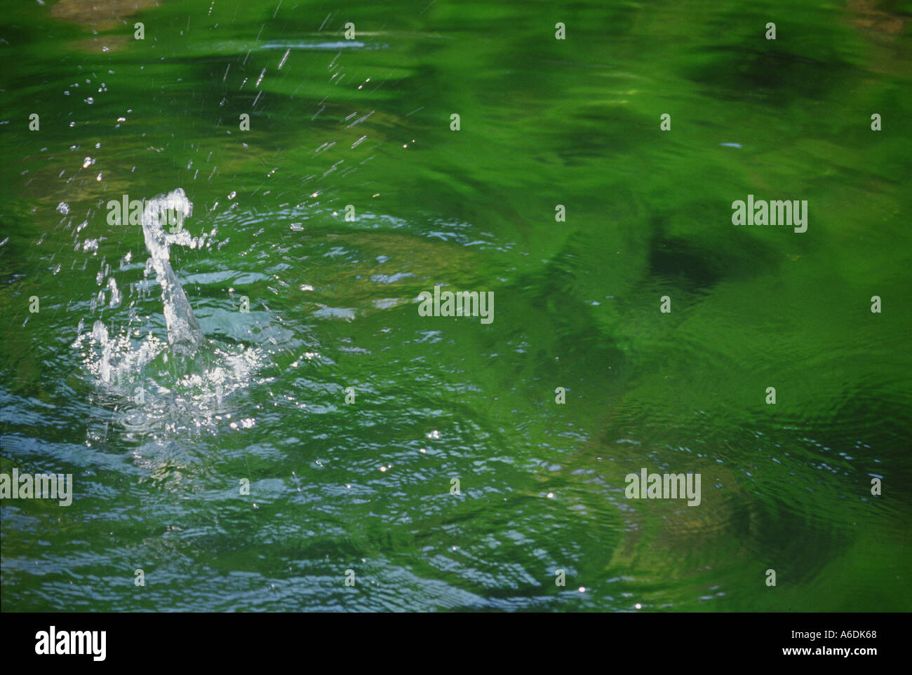 Plop water hi-res stock photography and images - Alamy