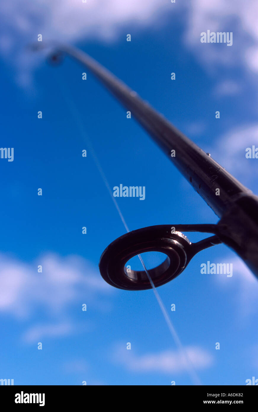 Fishing pole eye and line PR Stock Photo - Alamy