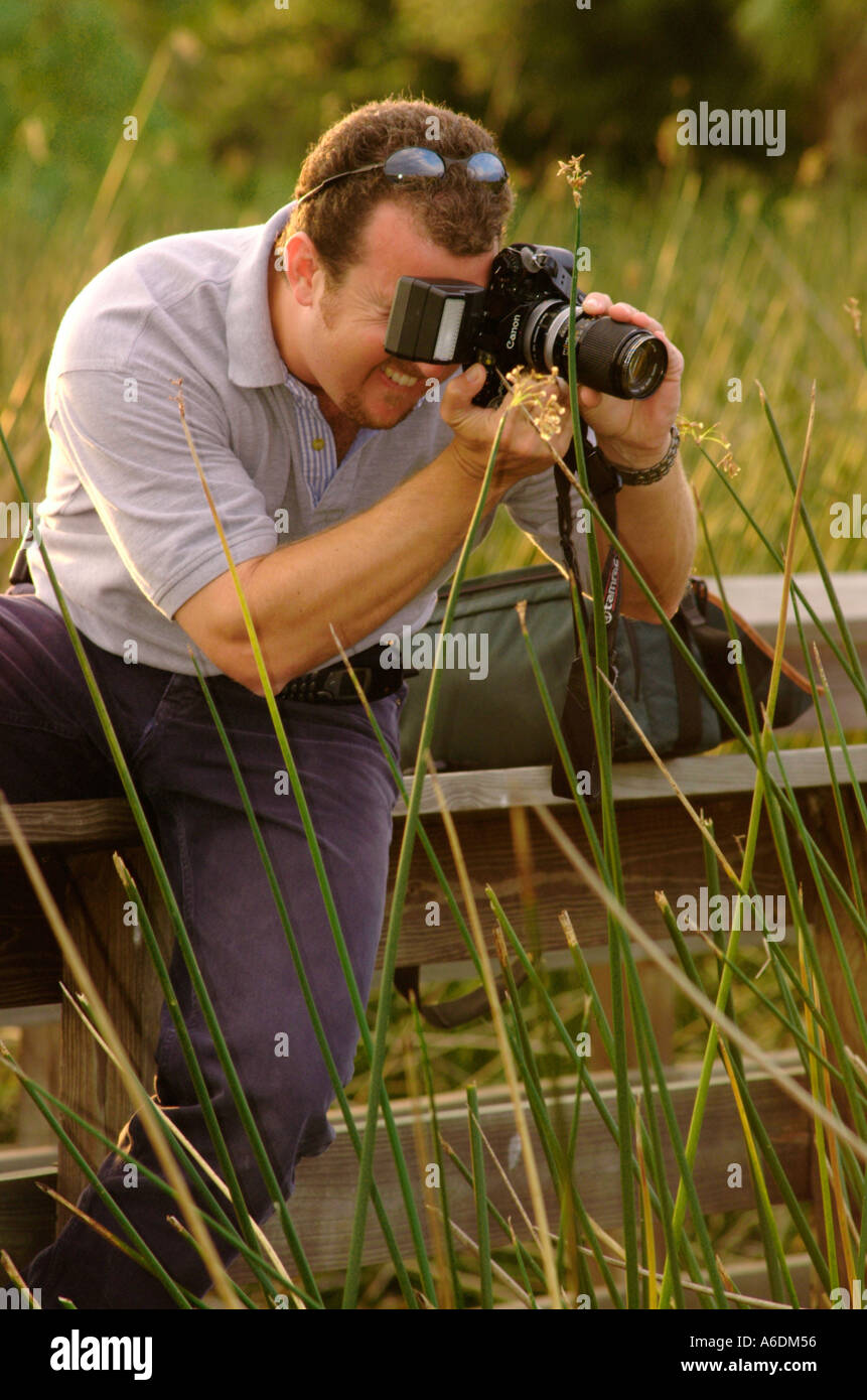 taking photographs of bulrush off of boardwalk on a nature trail Stock ...