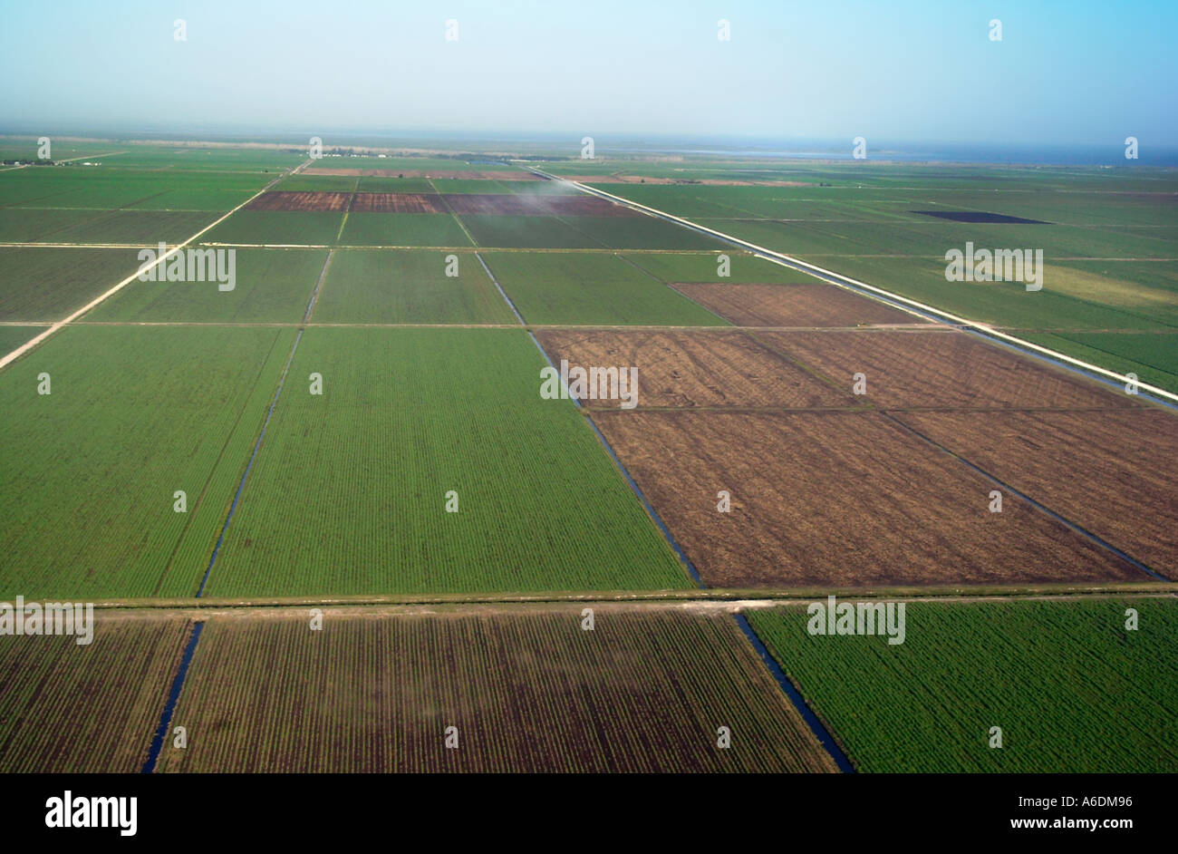 South Florida sugar cain fields farming agriculture Stock Photo - Alamy