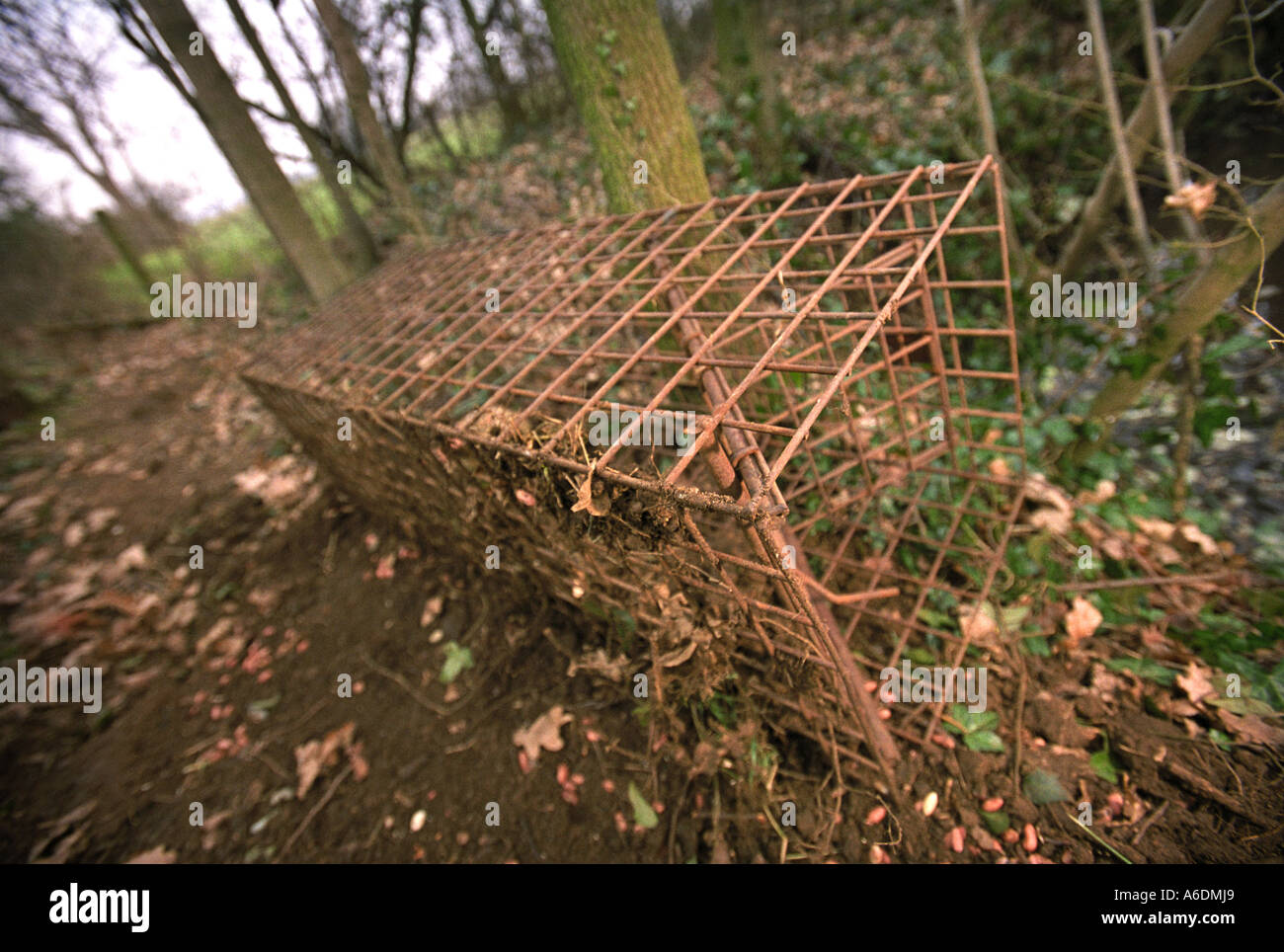 Snare trap hi-res stock photography and images - Alamy