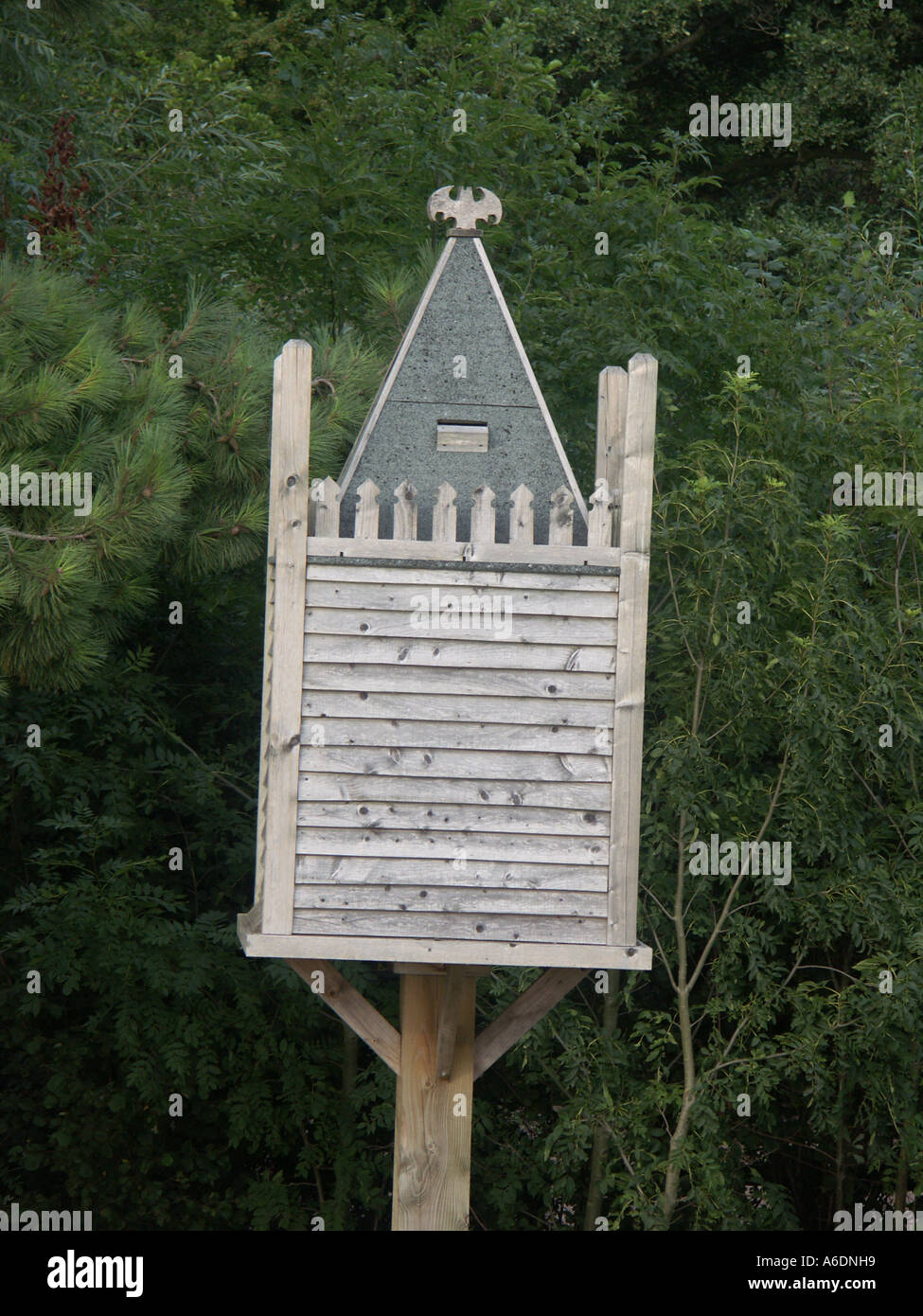 Bat roosting box at Shustoke Reservoir 1 Stock Photo - Alamy