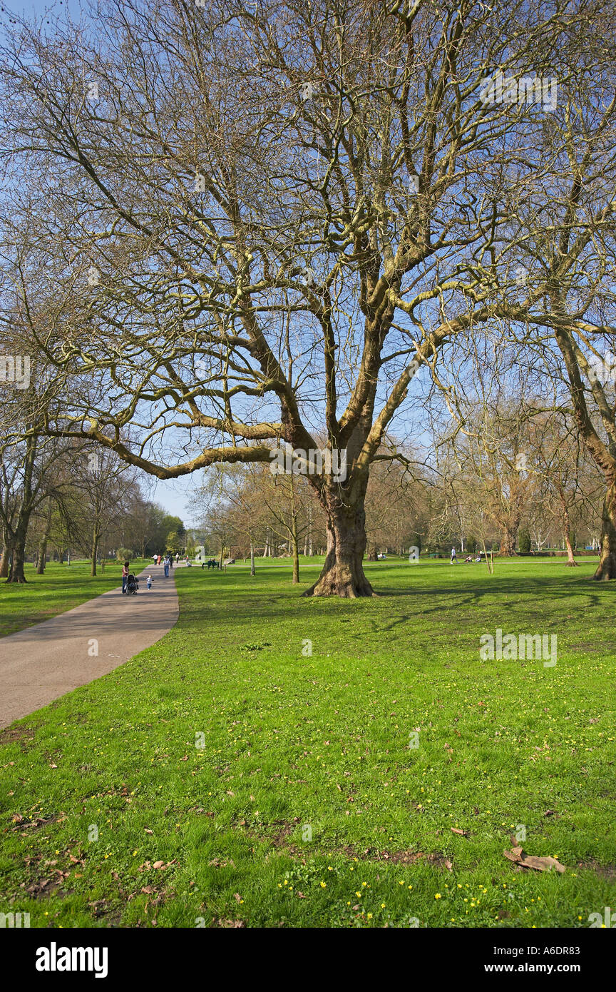Bute park, cardiff spring hi-res stock photography and images - Alamy