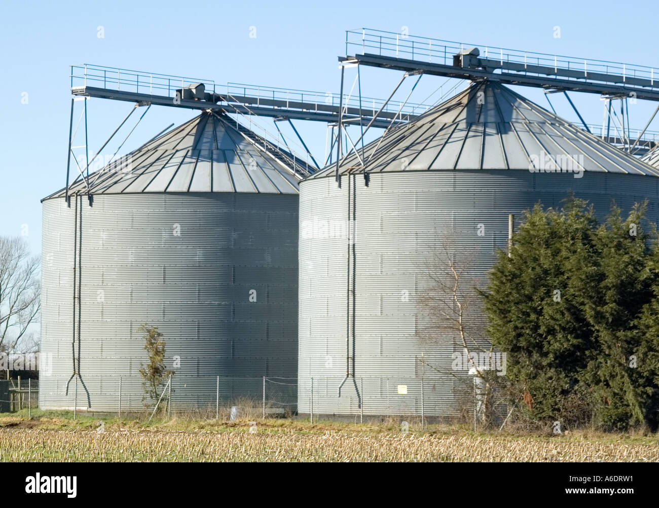 Grain Storage tanks Stock Photo - Alamy