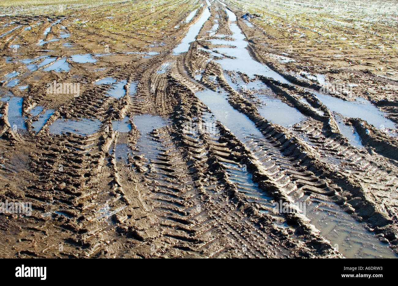 Frozen tractor wheel marks Stock Photo - Alamy