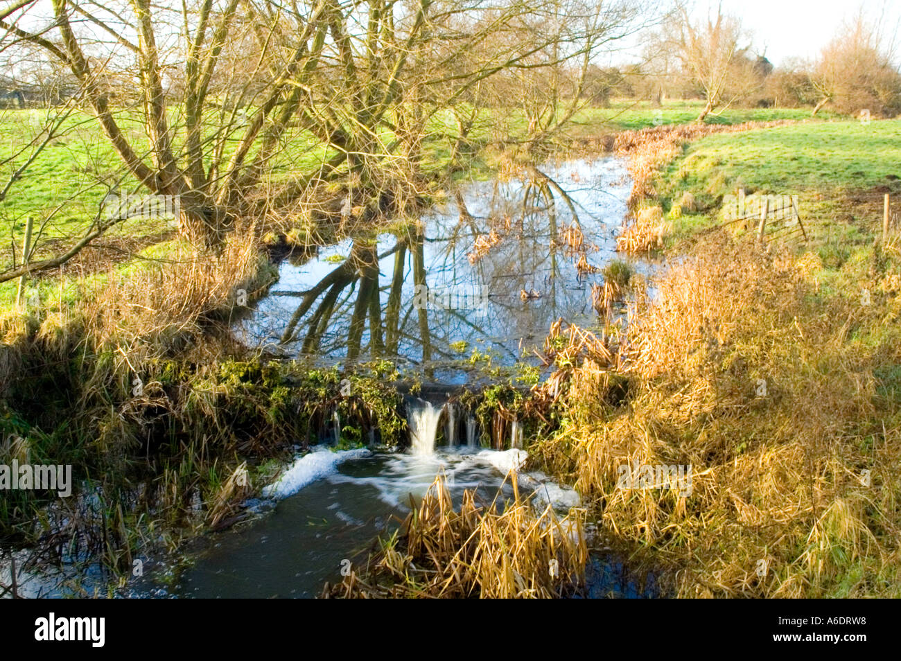 Ellingham hi-res stock photography and images - Alamy