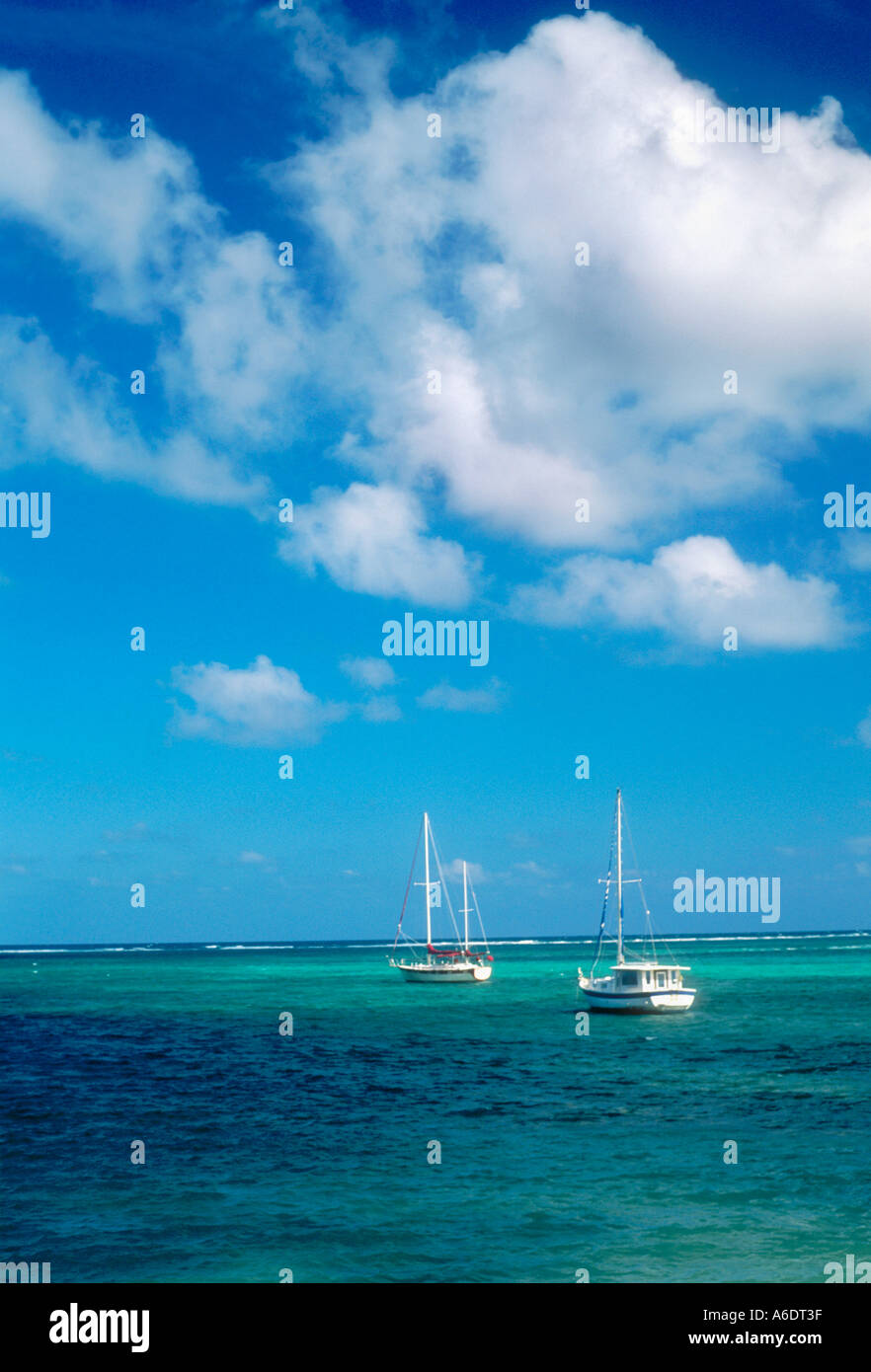 Sailboats off Ambergris Caye Belize sailing boating tropical Stock ...