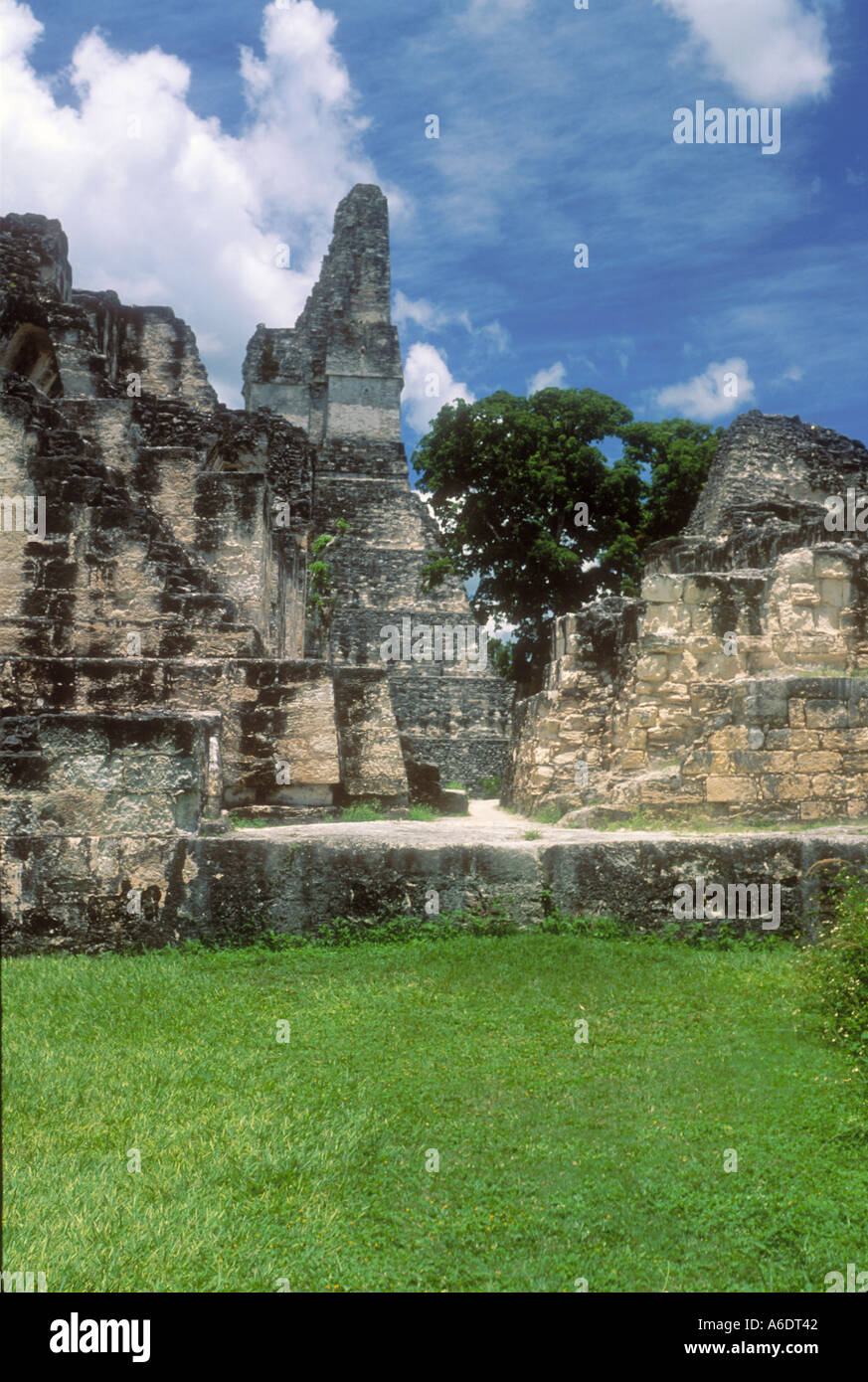 Temple one in background from Central Acropolis Tikal ruins Guatemala ...