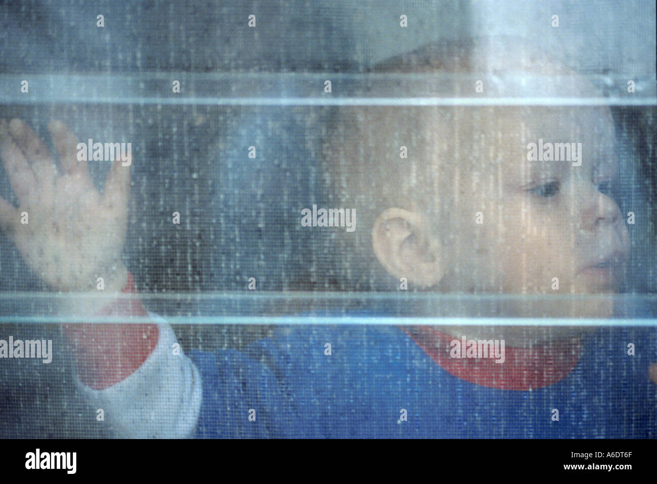 baby boy behind screen door babies playing MR Stock Photo - Alamy