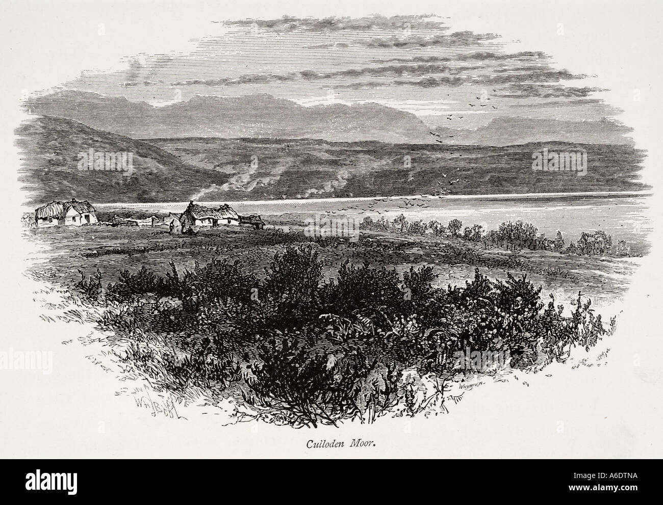 Black and white scotland drawing hi-res stock photography and images ...