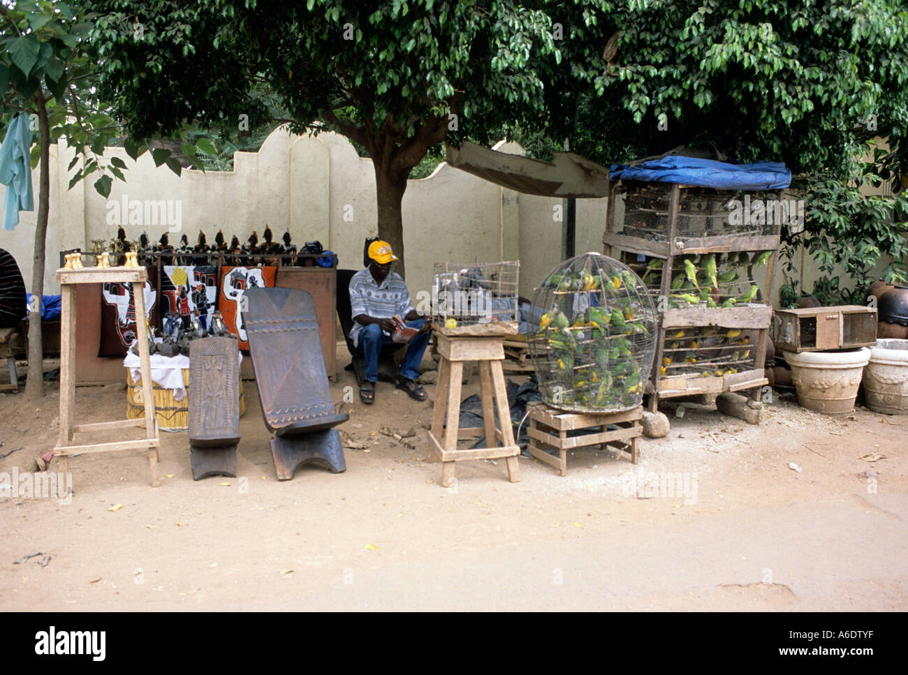 A stall selling wild birds Bamako the capital of Mali Stock Photo - Alamy