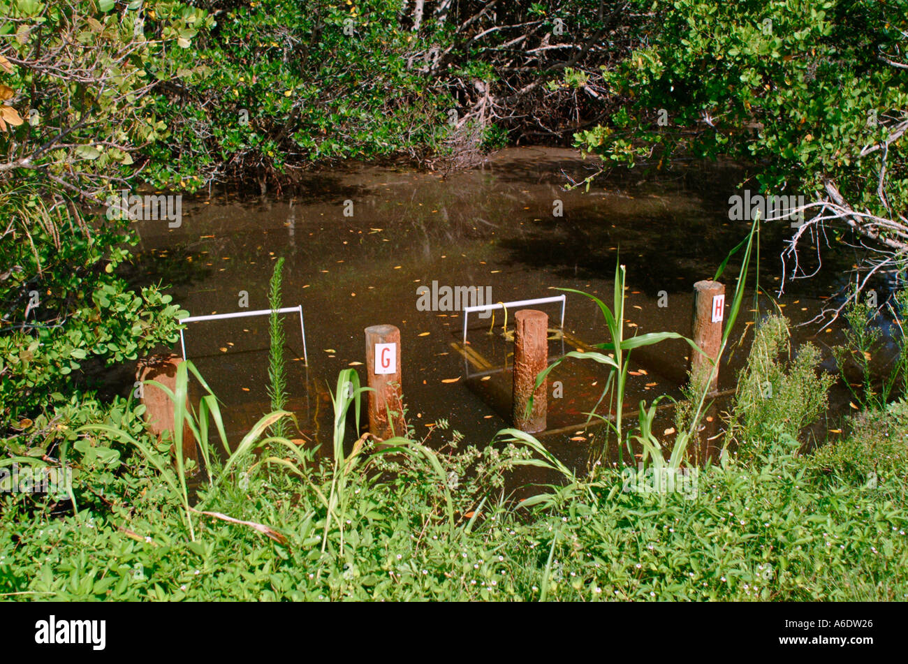 Submersed culverts and gates to control water flow between a Saint ...