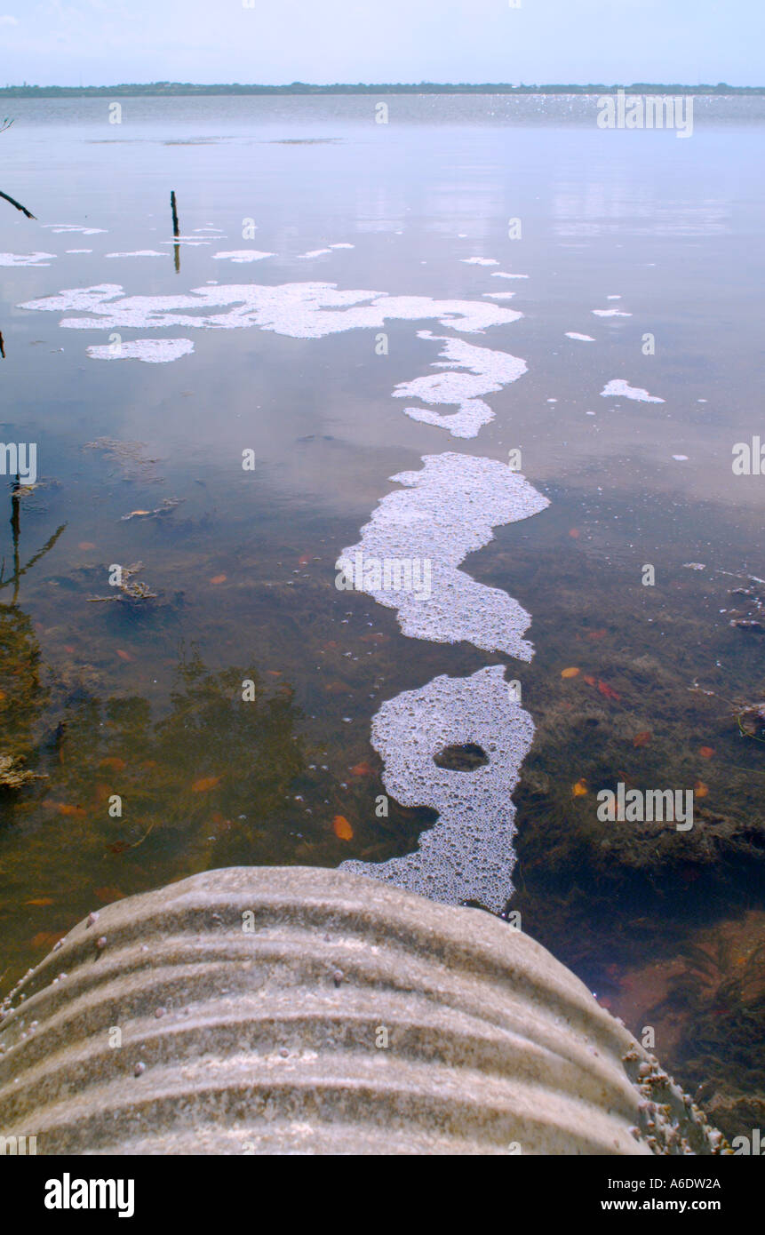 A culvert leading to the Indian River Lagoon Intracoastal Waterway from ...