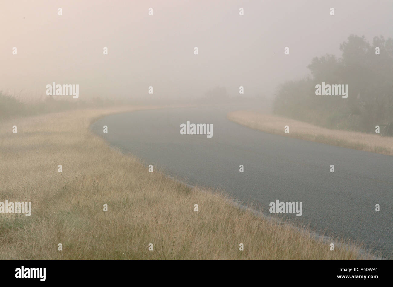 Route 27 into Everglades National Park Main park road streets roads ...