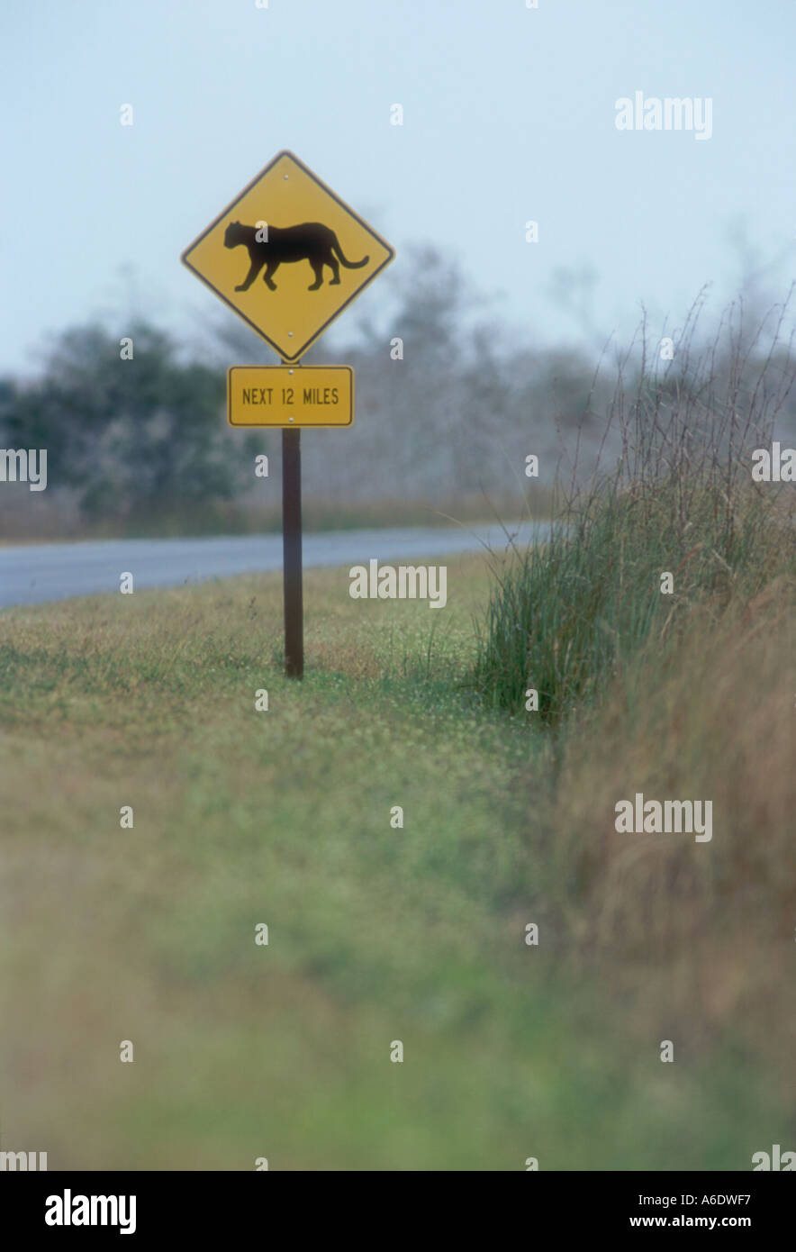 panther crossing sign Everglades National Park Florida caution warning ...