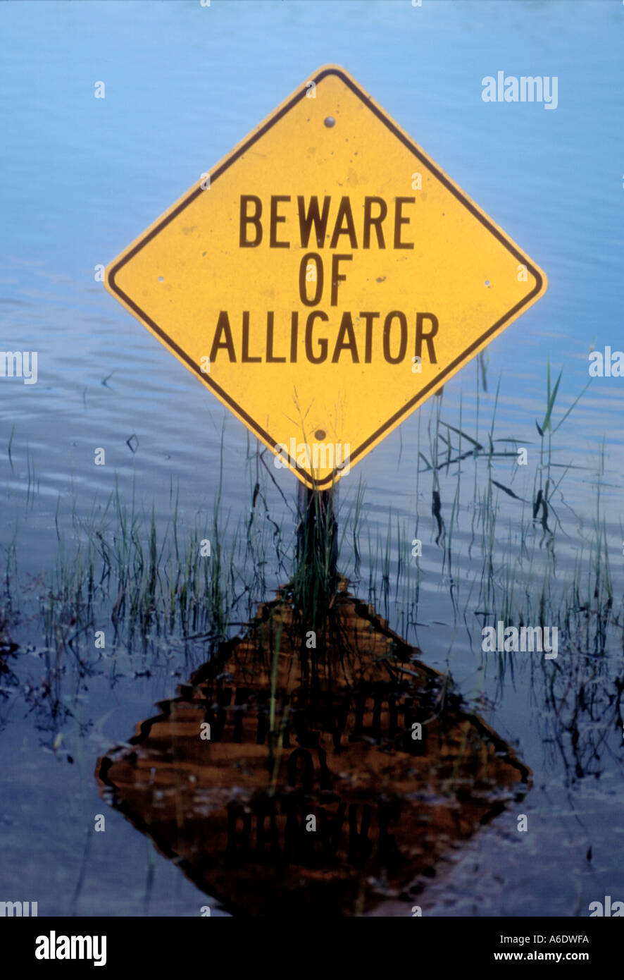 Beware of alligator sign hi-res stock photography and images - Alamy