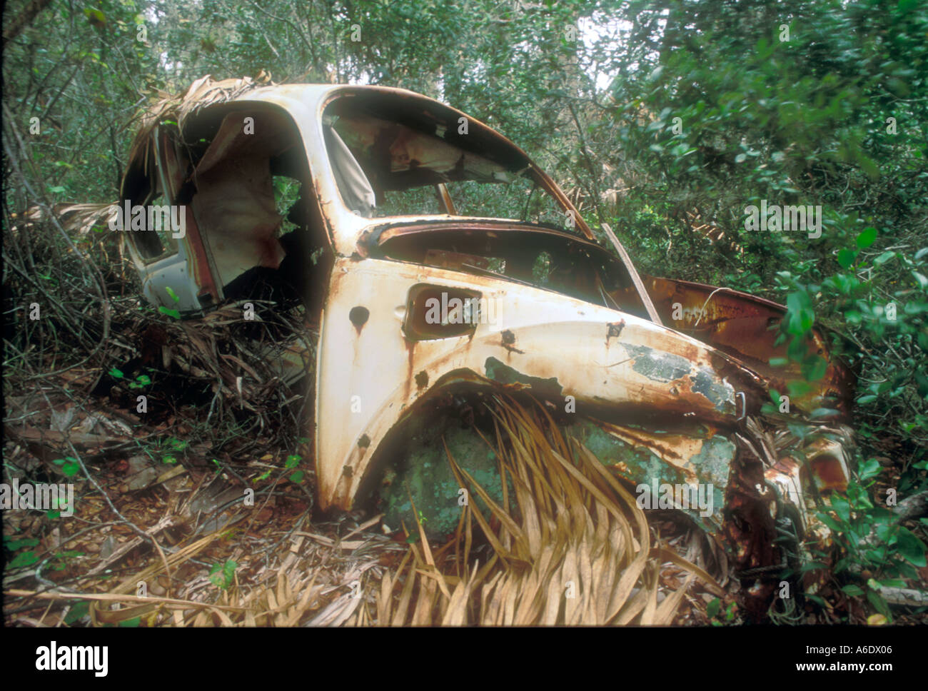 Volkswagon cars hi-res stock photography and images - Alamy