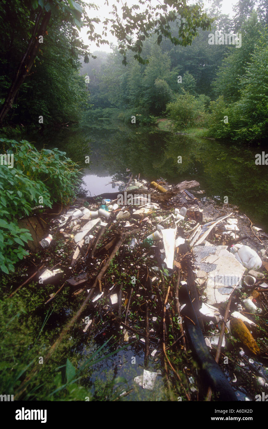Garbage collecting at bend in river creek garbage trash pollution junk ...