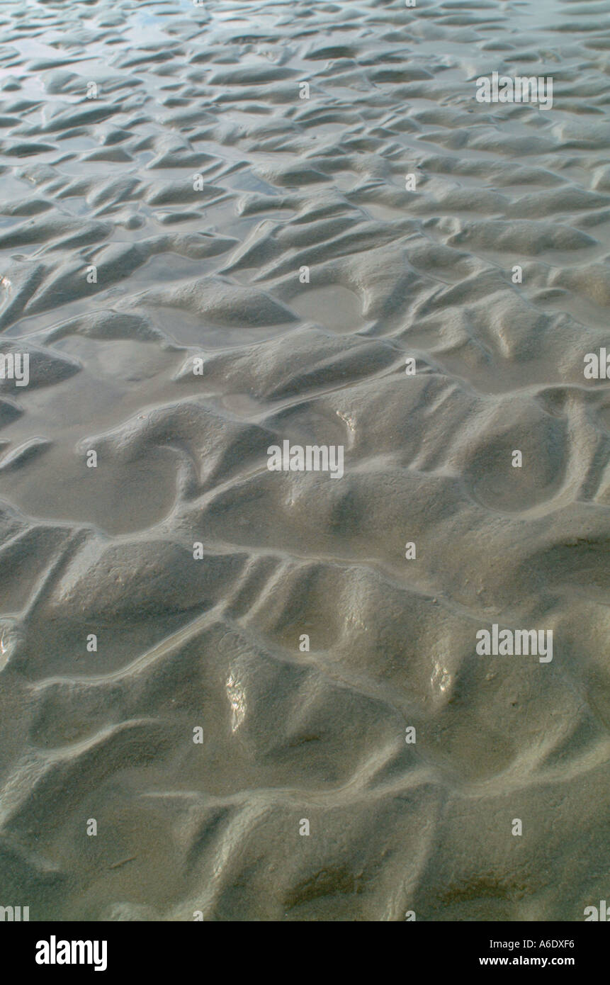 pattern on sand bar at low tide Saint Lucie Inlet estuary St Martin ...